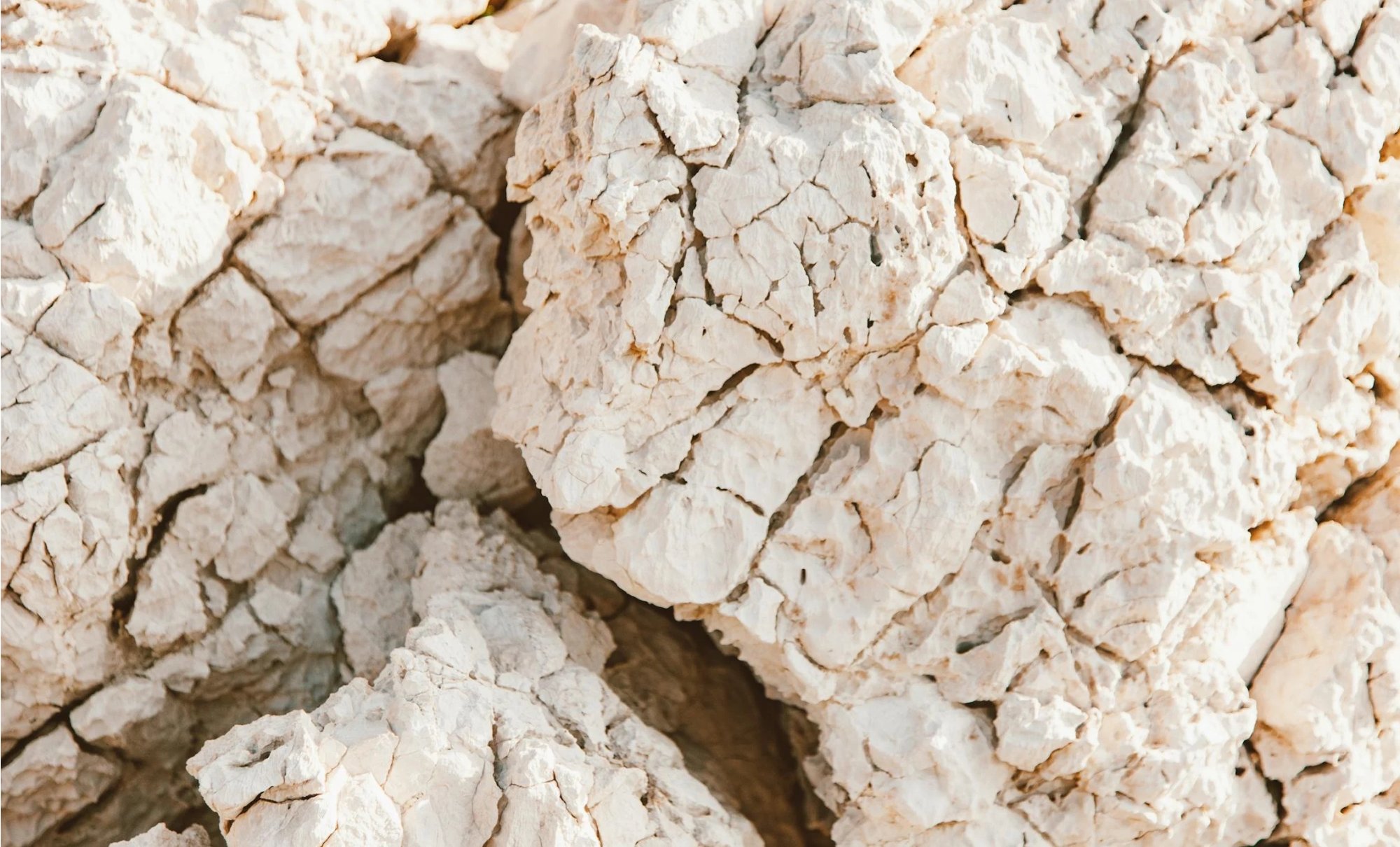 Vápník v půdě: Nezbytná složka pro zdravý růst rostlin